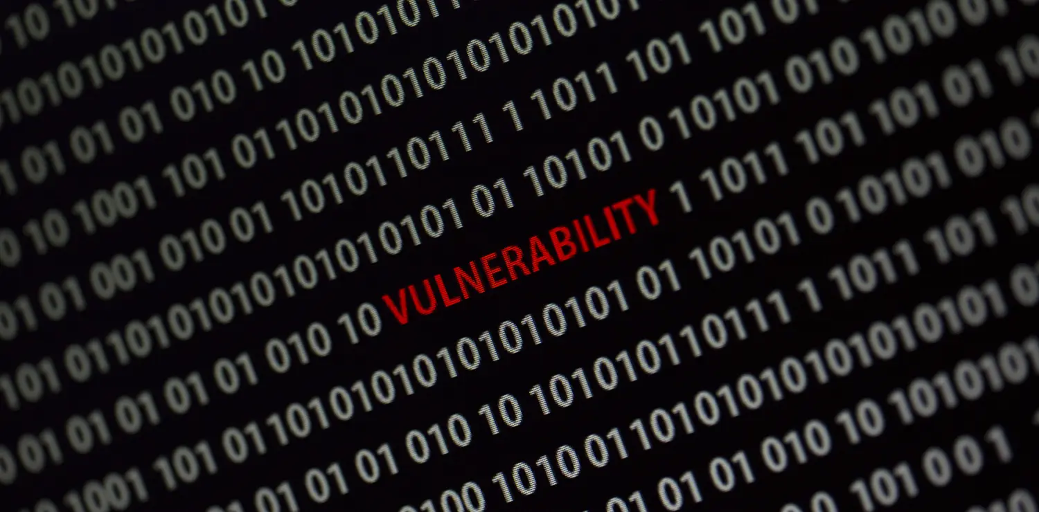 Vulnerability Assessment - SoundviewSecurity.com
